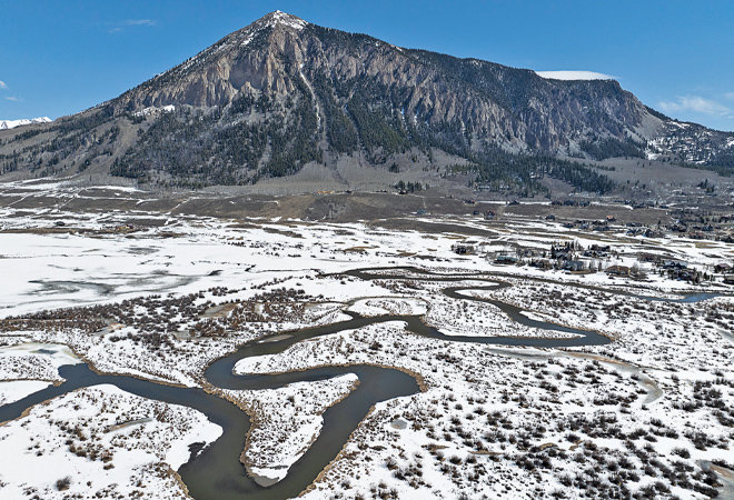 Flicker, the good and the bad… – The Crested Butte News